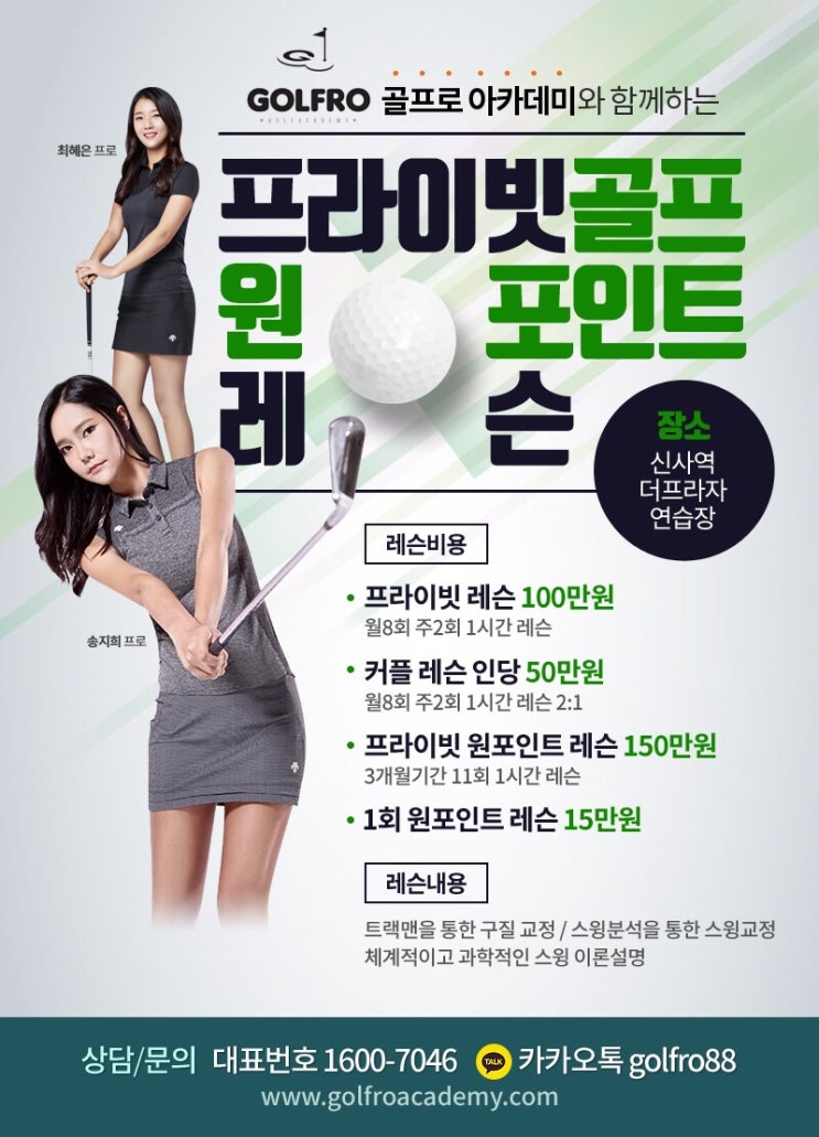 골프로아카데미 골프 원포인트레슨 골프는 체계적으로 네이버 블로그