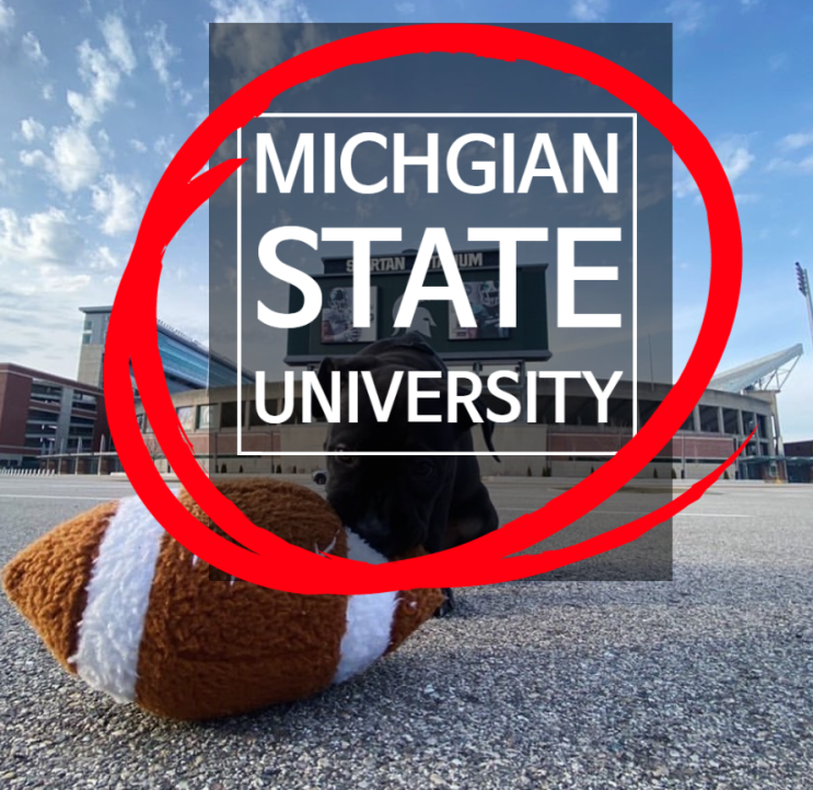 2020년 미시건 주립 대학교 (Michigan State University)의 장학금 SAT/ACT 기준 및 고등학교 GPA ...