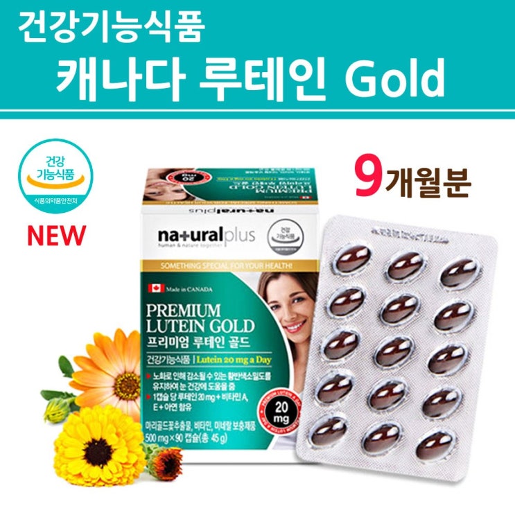 강추 Lutein 루테인 지아잔틴 눈영양제 눈건강 비타민a 아연 마리골드 메리골드 황반 세포 색소 시력 노안 건조 피로한