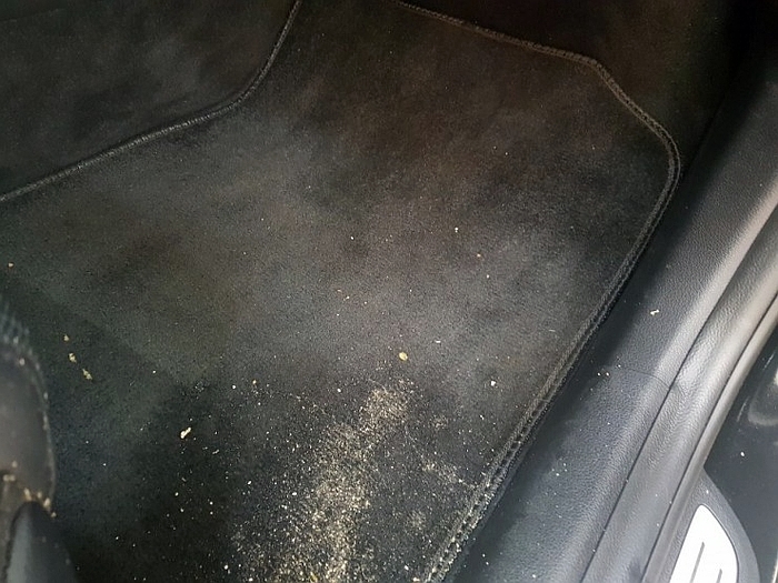 부산 금정구 장전동 차에 구토를 했다 클리닝으로 해결하세요 메인카부산대온천장동래구 네이버 블로그