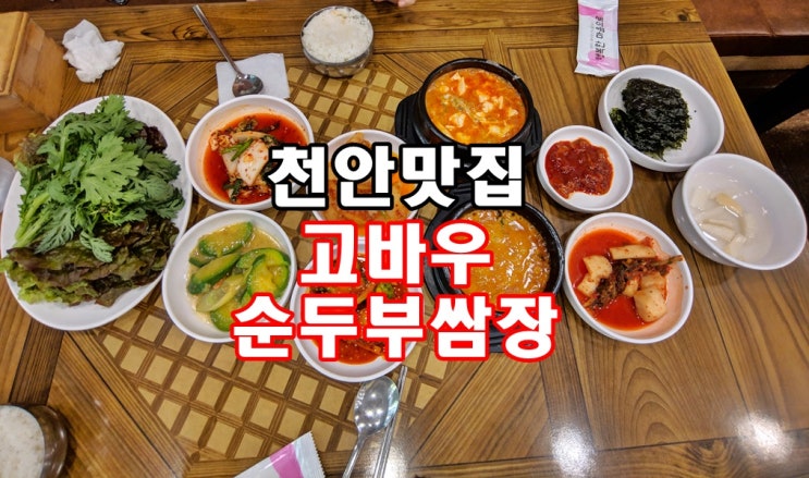 천안 두정동 순두부 쌈밥 맛집 고바우 호불호 극명한 솔직후기 네이버 블로그