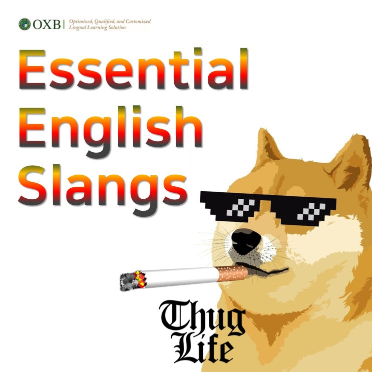 [영어표현] 25가지 Essential American Slang 필수 영어슬랭(비속어, 은어) 알아보자! : 네이버 블로그