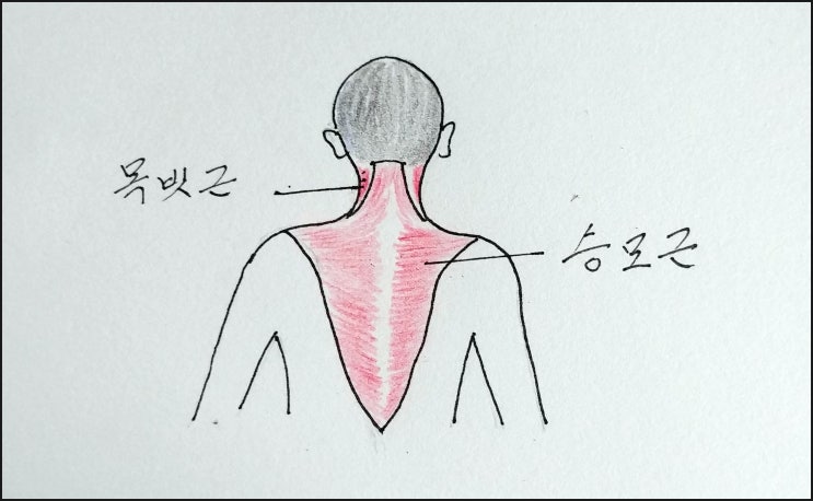 33 불면증 잠 못 이루는 사람에게 네이버 블로그