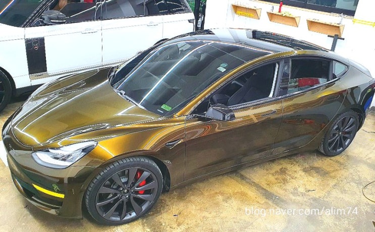 The_PER 카스킨전문(INOZETEK(이노즈텍)MIDNIGHT GOLD//미드나이트골드전체랩핑)테슬라모델3 : 네이버 블로그
