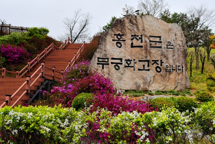 건강놀이터 홍천 가볼만한곳 무궁화의 고장 무궁화공원 산책하기 좋은 곳 네이버 블로그