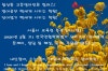 철산동 고등영어 람파스영어학원 2020년 3월 고1 전국연합학력평가 모의고사 영어영역 서울시 교육청 미시행 문제지 정답