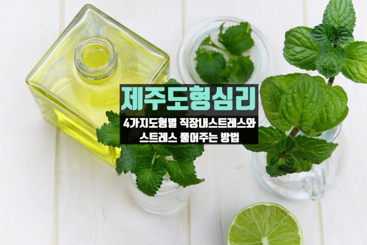 【제주강사도형심리스트레스관리】4가지도형별 직장내스트레스와 각 유형별 스트레스 풀어주는 방법 네모유형 네이버 블로그