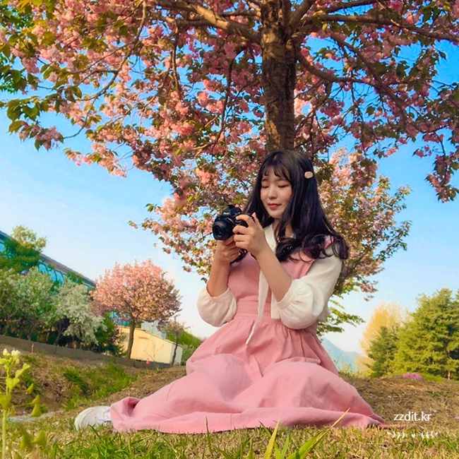 서울 근교 겹벚꽃 경기도 하남 미사 경정공원 겹벚꽃과 인생샷 찍기🌸 네이버 블로그