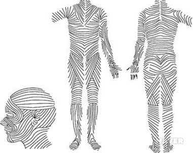 랑거선 Langer`s line : 네이버 블로그