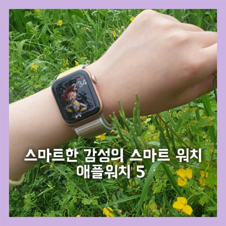 스마트한 감성의 애플워치5 개봉기 배터리 성능 및 블루투스 버전의 아쉬움 네이버 블로그