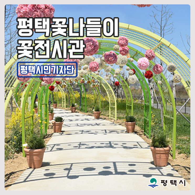 평택꽃나들이 꽃전시관에서 만나는 멋진 꽃들 네이버 블로그