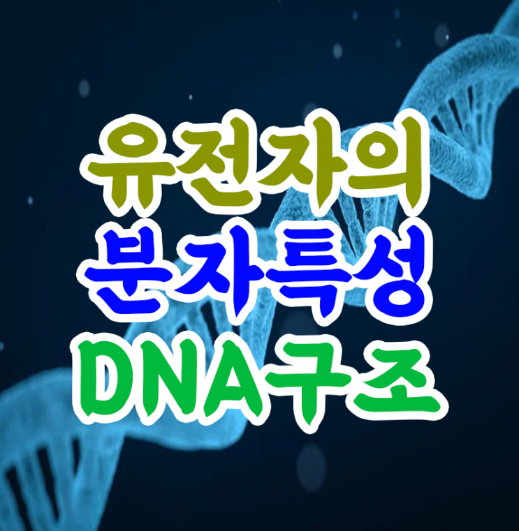 유전자의 분자 특성, DNA구조 : 네이버 블로그