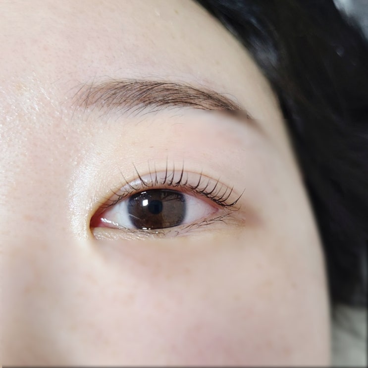 울산달동 예쁨주의 울산 속눈썹펌 추천 울산 왁싱샵 추천 울산 가성비 왁싱샵 울산 가성비 속눈썹펌 네이버 블로그