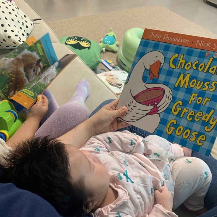 Chocolate Mousse for Greedy Goose : 네이버 블로그