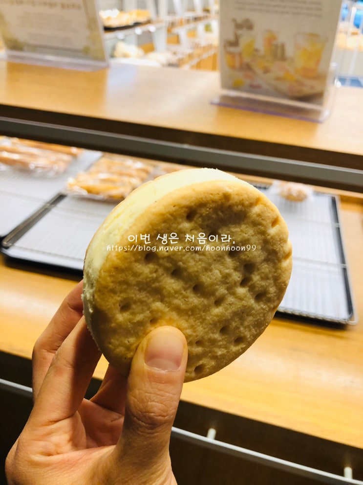 서울 2020 서울 맛집 나폴레옹과자점 뉴코아아울렛강남점 서울 빵 맛집 초코크림빵 맛집 크림빵 맛집 잠원동 맛집