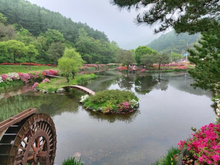 진천 만뢰산 자연생태 공원 엄마와 함께 가볼만한곳 네이버 블로그