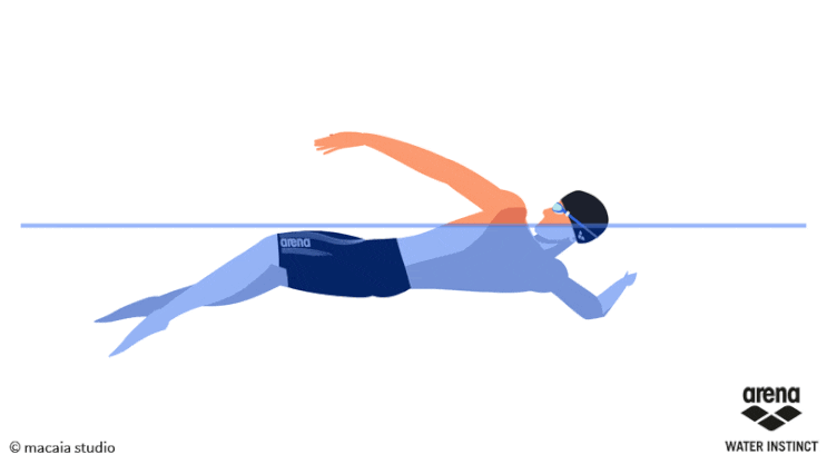 수영영법4. 배영 / Backstroke(Back Crawl) : 네이버 블로그