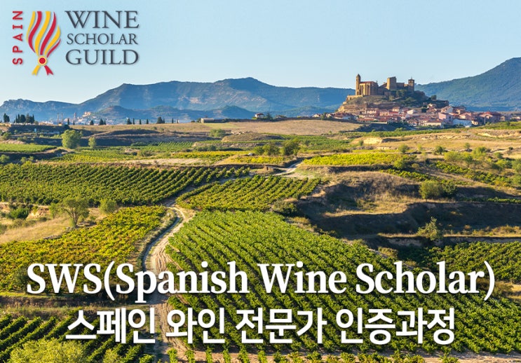 국가대표 소믈리에 오형우가 직접 전하는 ‘SWS’ : 네이버 블로그