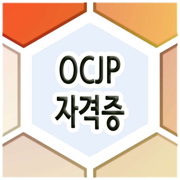 OCJP자격증, 프로그래밍 국제자격증 자바과정 안내 : 네이버 블로그