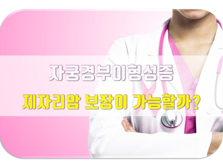 질병분류번호 N879 자궁경부이형성증 보장에 있어 문제는 네이버 블로그