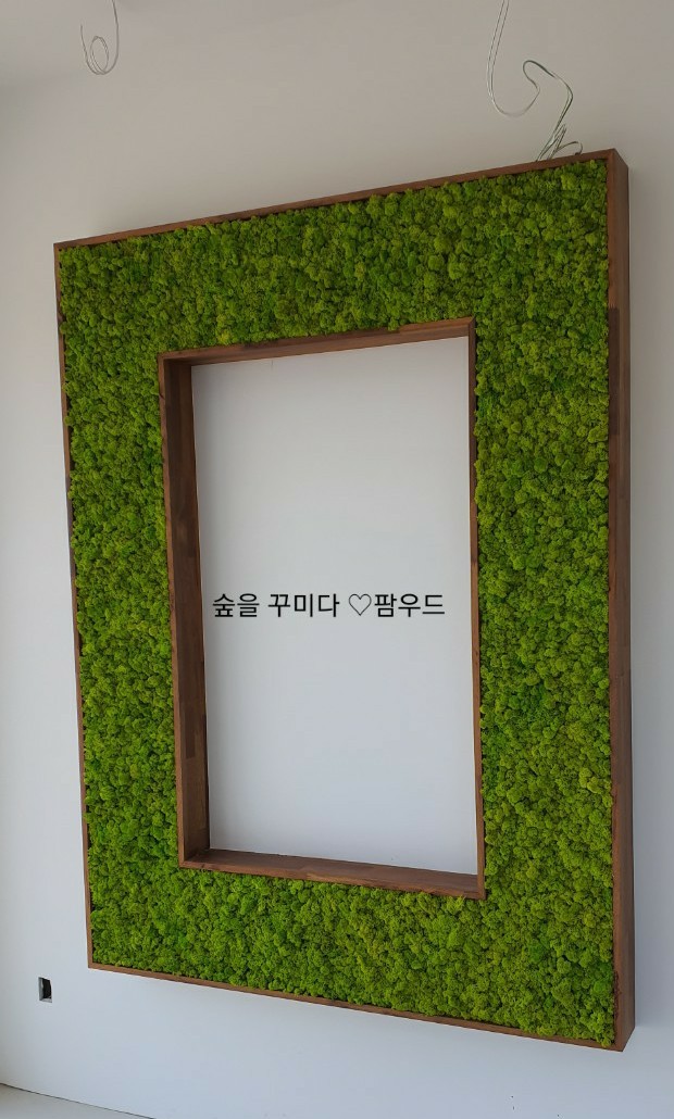 팜우드 제주도에 있는 대형모스액자 모스로 만든 모스월 스칸디아모스로 만든 이끼벽 천연이끼로 만든 모스인테리어가 자연스런