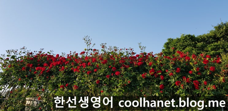 송파 방이동 잠실 강동구 중고등영어학원보성고 방산고 오금고 영어내신·수능 고1 1903 빈칸과 Dreams 네이버 블로그