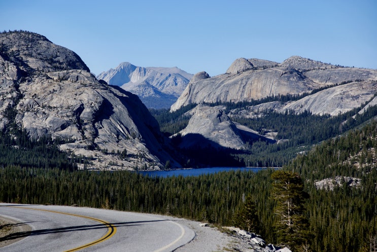 11. 요세미티 국립공원 (Yosemite National Park) 마지막편 - To Ellery Lake : 네이버 블로그