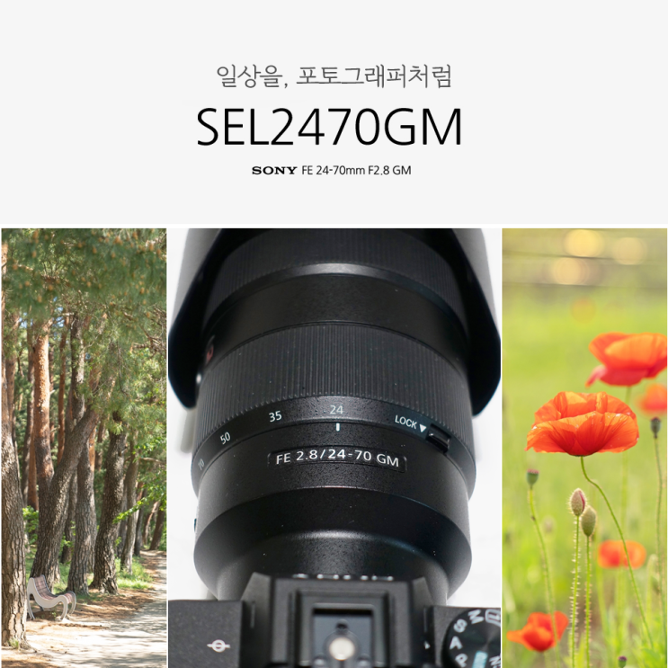소니 카메라 줌 렌즈 SEL2470GM F2.8 - 샘플 사진과 영상 : 네이버 블로그