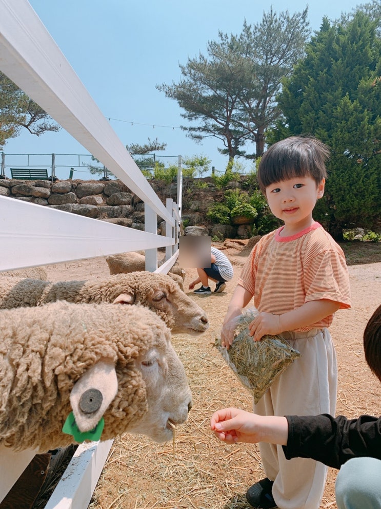 켄싱턴 설악밸리 아이와 함께하기 좋은 속초숙소 추천 네이버 블로그