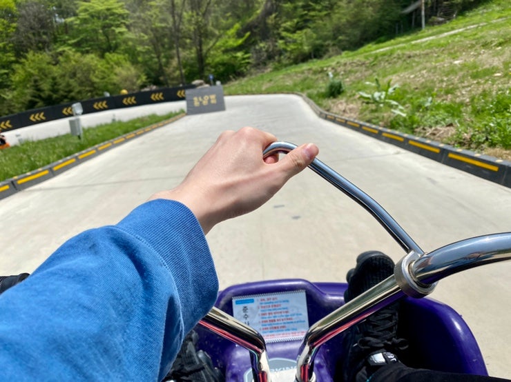평창 휘닉스 파크 루지랜드 얼마나 빠를까 네이버 블로그