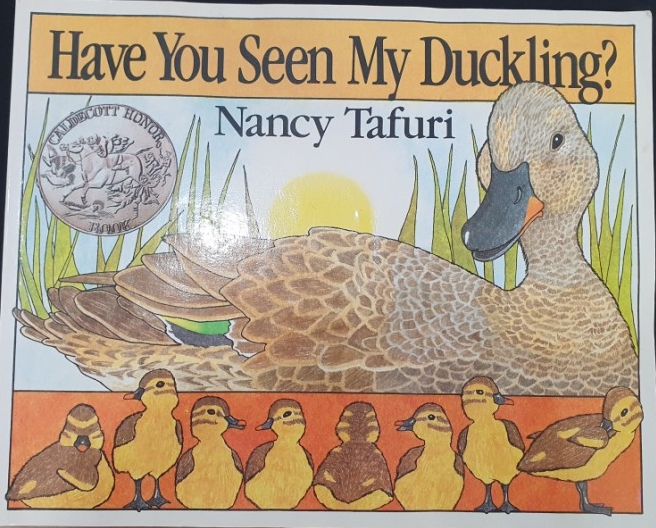 원서공부#17. Have you seen my duckling? (written & illustrated by. Nancy ...