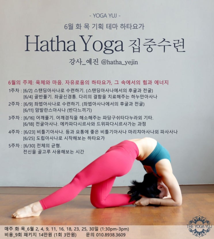 일산 하타 요가 유즈 6월 인텐시브 클래스 자유로움의 하타요가 그 속의 힘과 에너지를 육체와 마음으로 느껴보는 시간