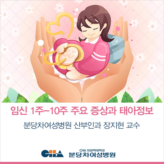 임신 극초기증상 임신 1주~10주 주요 증상과 태아정보 분당차여성병원 산부인과 장지현 교수 네이버 블로그