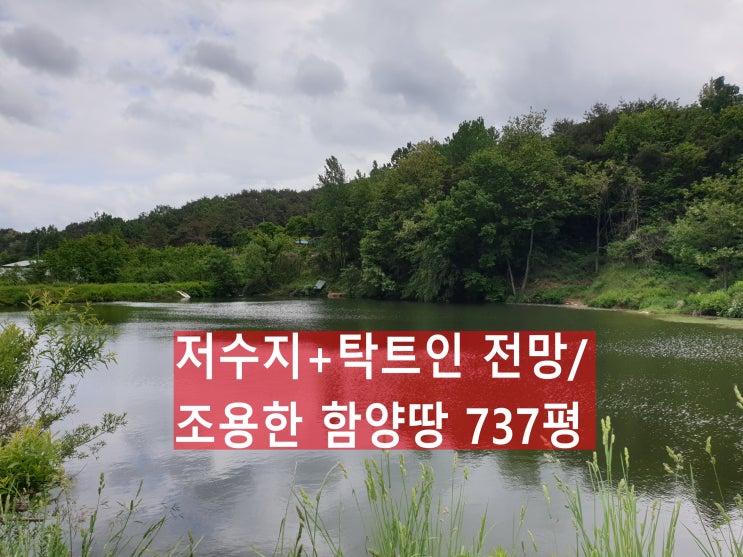 함양군 토지 매매탁트인 전망 함양 토지매매조용한 함양 땅매매싼 함양 전원주택지 매매함양군부동산함양부동산 네이버 블로그