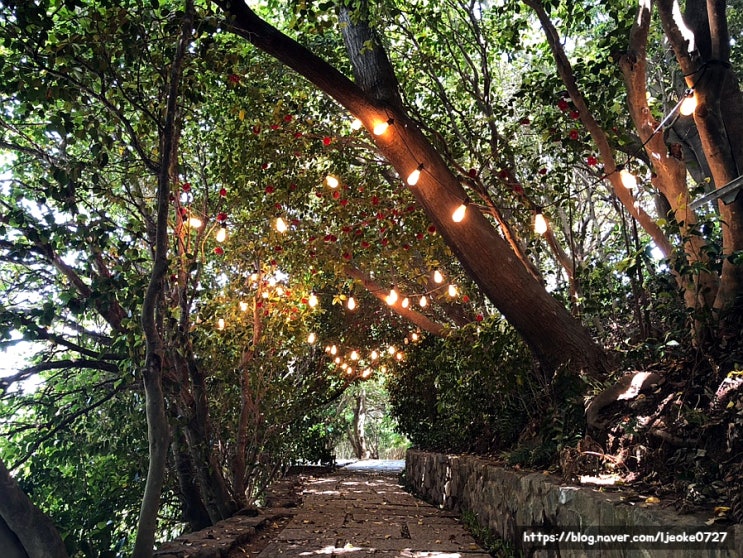 [통영 거제 여행] 장사도해상공원 갔다가 상상낚시터에서 낚시하기 : 네이버 블로그