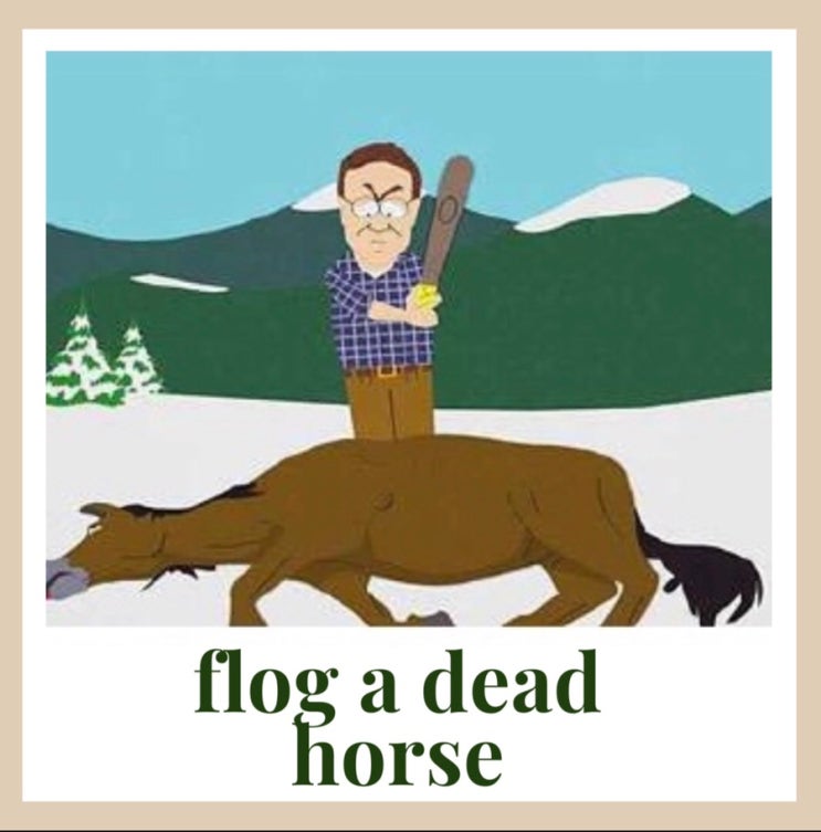 flog a dead horse/헛수고를 하다 : 네이버 블로그
