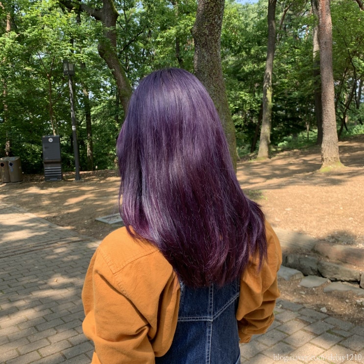 [매닉패닉] 레이븐(raven) + 라일락스(lie locks) + 퍼플헤이즈(purple haze) : 네이버 블로그