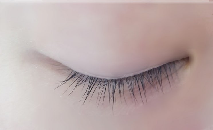 속눈썹 영양제 Vive Lab 바이브랩_리얼후기/내돈주고삼/속눈썹길어짐 : 네이버 블로그