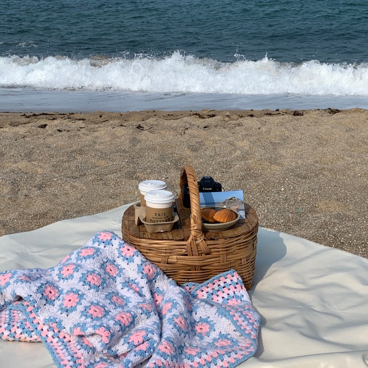 국내여행 : 제천여행·속초여행 기록 : 네이버 블로그