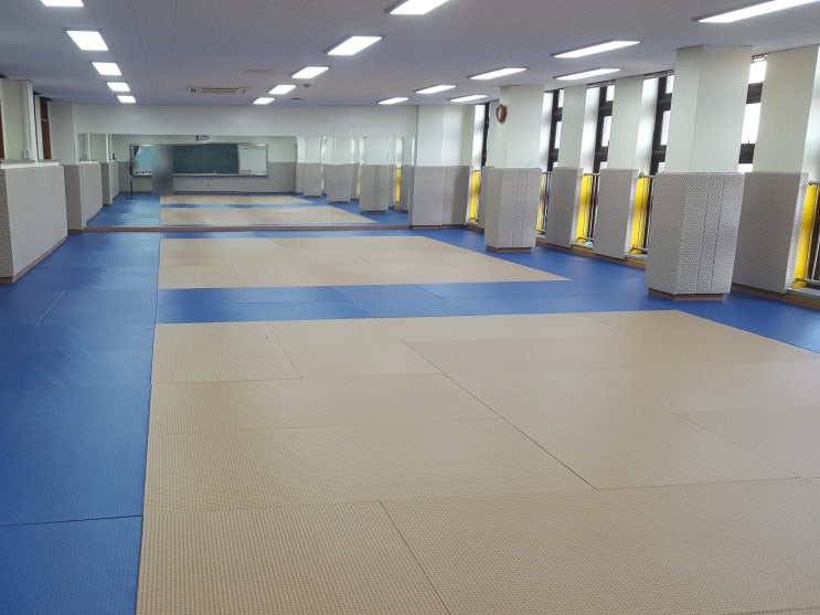경기 회룡초등학교 소규모실내체육시설 체육실 다오코리아 안전 바닥매트and안전 보호벽매트안전패딩 설치 네이버 블로그