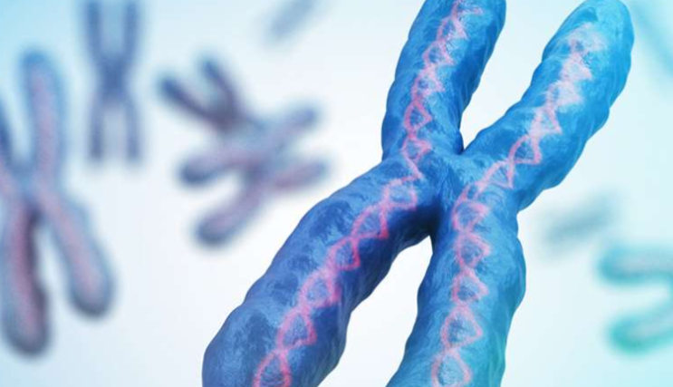 [파이썬(Python) in 생물정보학] Genotype 데이터를 통한 Minor Allele Frequency (MAF ...