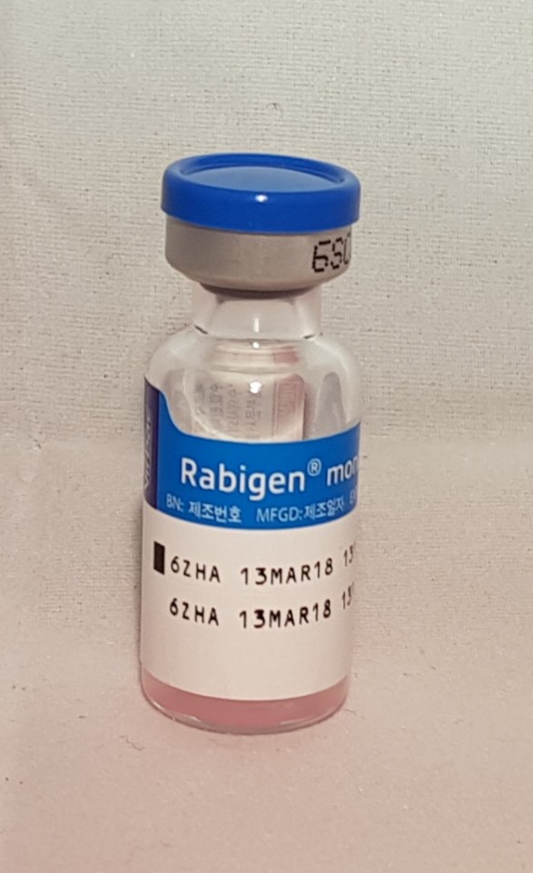 래비겐모노(rabigen mono)강아지, 고양이 광견병 예방 : 네이버 블로그