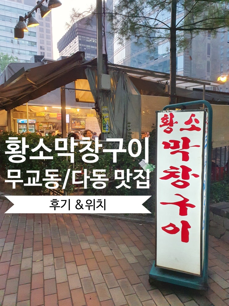 무교동다동 음식 거리 최애 맛집 황소막창구이 후기추천 광화문역종각역종로구 네이버 블로그