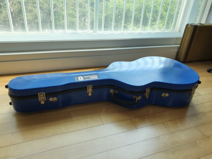 Calton Case for Acoustic OM Guitars : 네이버 블로그