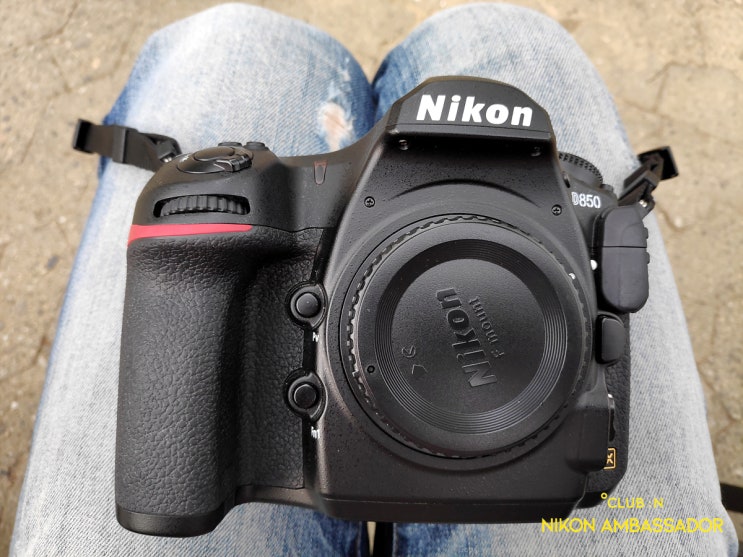 [니콘협찬 / 니콘 클럽 N 앰배서더] Nikon DSLR 카메라 D850 개봉기 & 한 달간의 사용기 by 비두리(박창환 ...