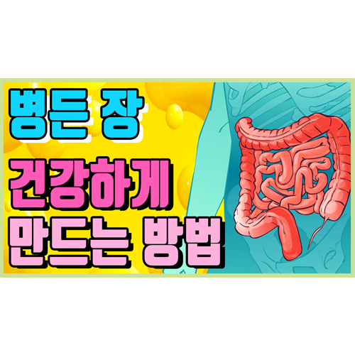 장건강 면역력에 좋은 건강한 유산균 음식 식단 식품 장내미생물 유산균 유익균의 효능 장건강해지는 방법 장 독소