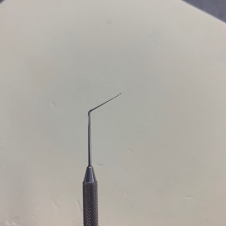 [임상전단계] 20.5.28 / 치수절제술에 사용되는 기구 : 네이버 블로그