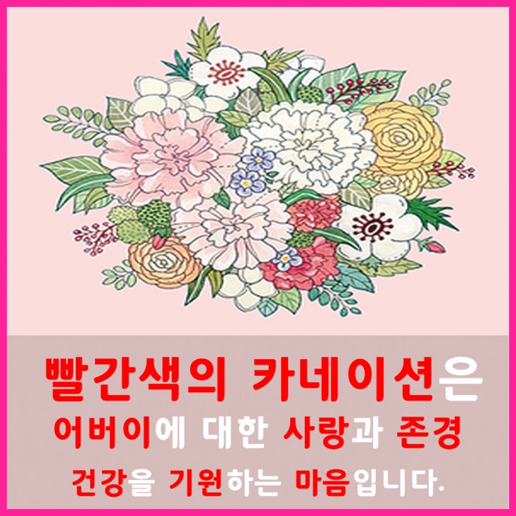 태한 태권도 지금관 어버이날 5월8일 빨간 카네이션 부모님 사랑합니다 네이버 블로그