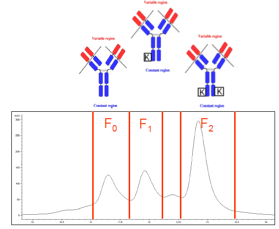 mAb Lysine의 isoform 분리, MCSGP 기술을 이용 수율과 순도 동시 상승효과 : 네이버 블로그
