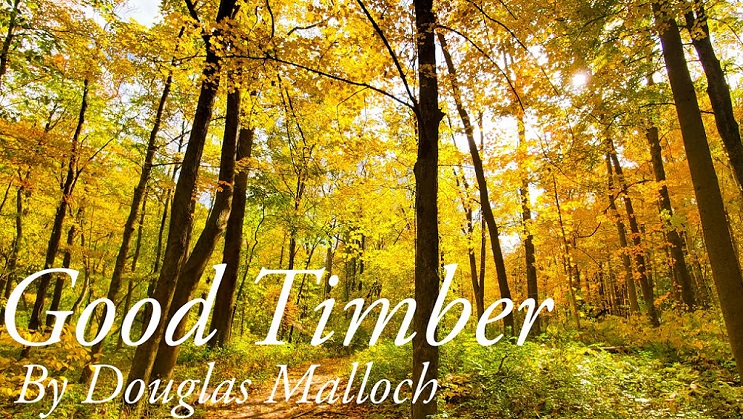 Good Timber - Douglas Malloch 좋은 재목(材木) - 더글라스 멜록 : 네이버 블로그